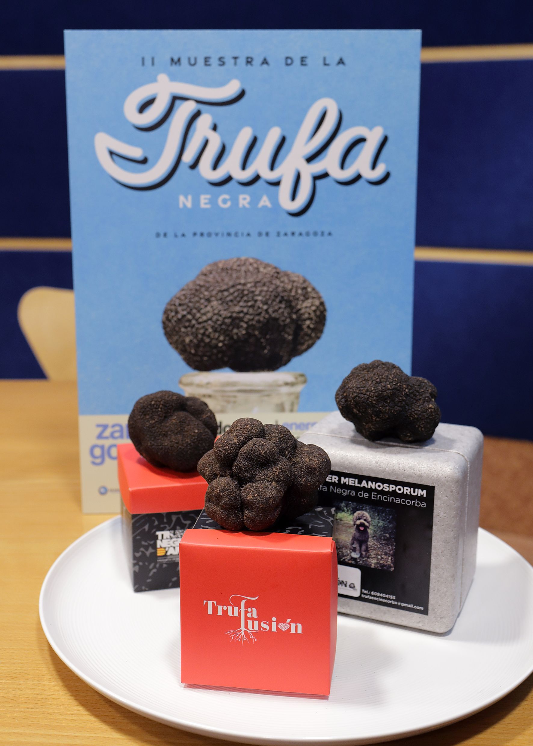 La trufa negra de la provincia llega a Zaragoza en la segunda muestra ...
